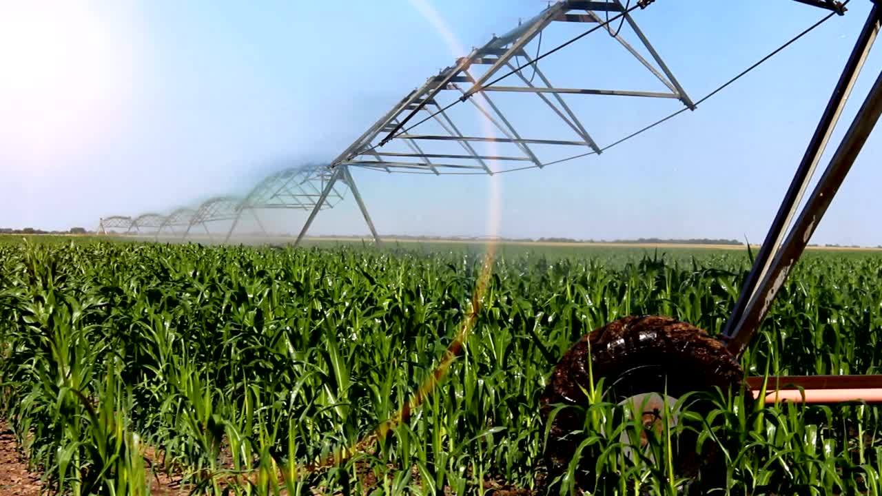 Impala Irrigation