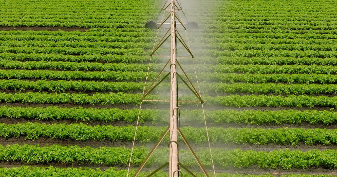 Impala Irrigation
